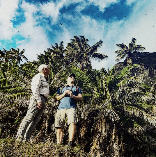 STORY 01 | Lord Howe Island | Save the BEYOND – FRONTIERS OF HOPE ...