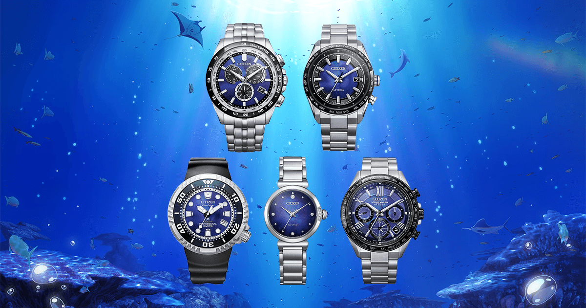 UNITE with BLUE - CITIZEN